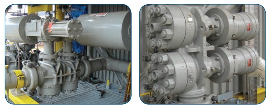 Flowserve Lubricated Plug Valves – Twin Isolation - GMS Interneer, oil ...