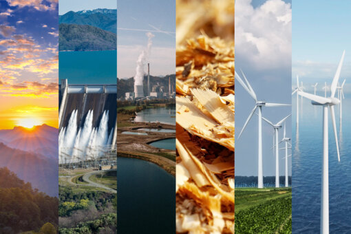 What is Renewable Energy? Sources, Examples, Pros, Cons